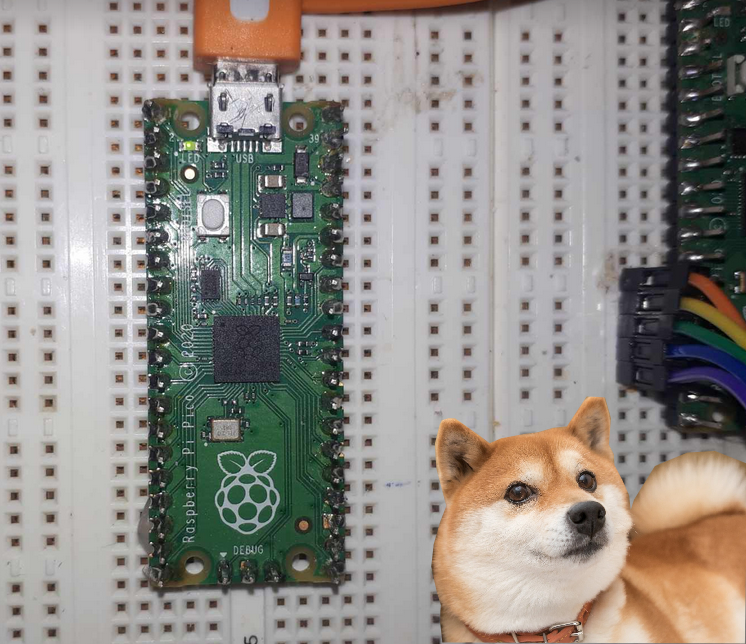 RPi2040 C Code Interrupt Example